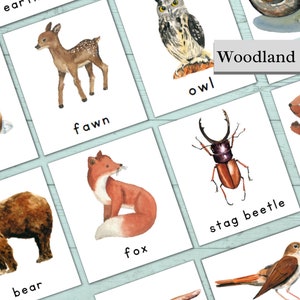 Woodland Animals Montessori Printable, Montessori Three Part Cards ...