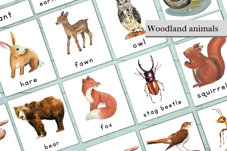 Woodland Animals Montessori Printable, Montessori Three Part Cards ...