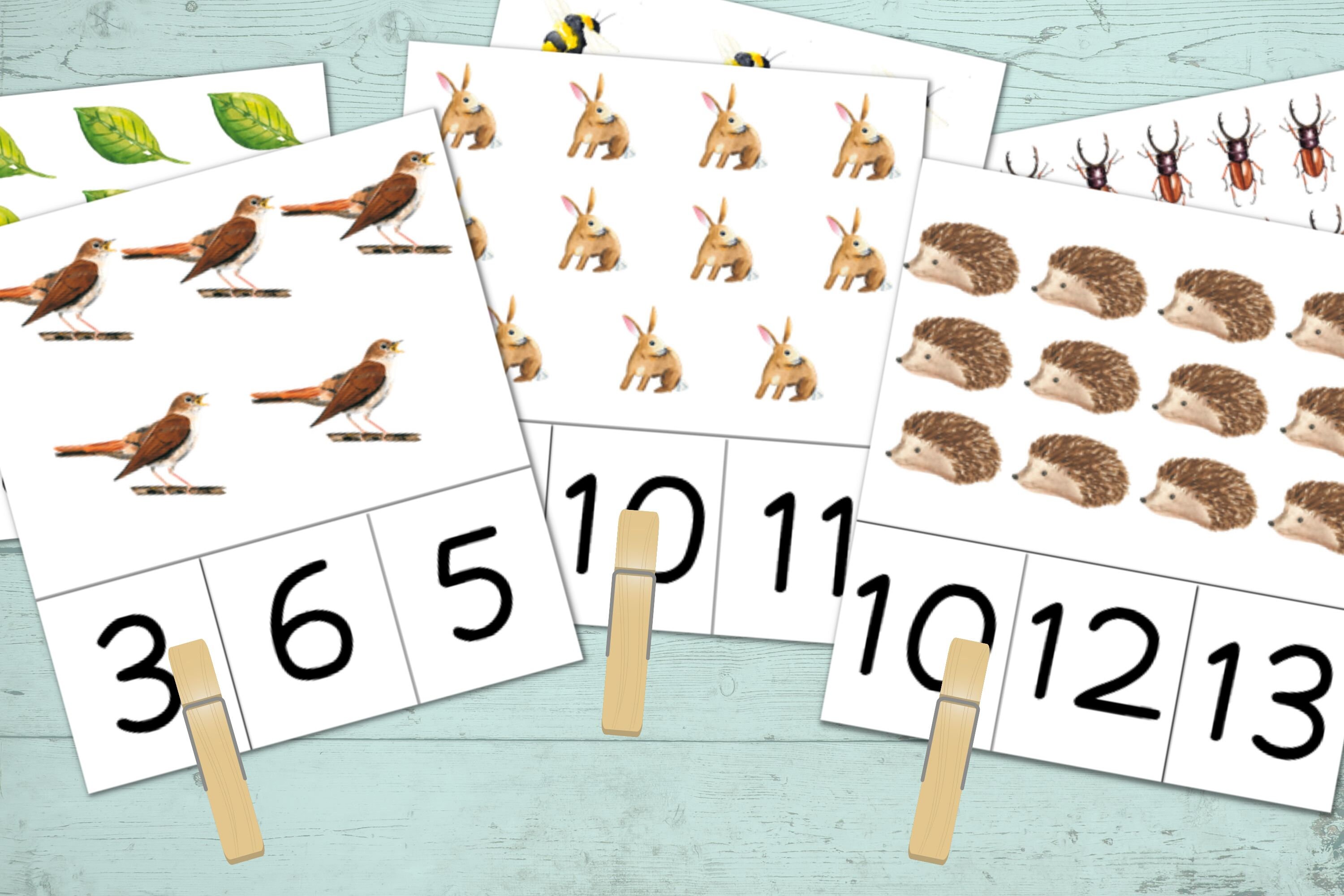 Woodland Count and Clip Cards 1-20, Numbers 1-20 Flash Cards, Counting ...