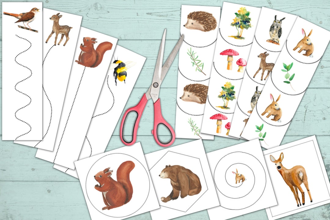 Woodland Scissor Strips Bundle, Cutting Practice, Scissor Skills ...