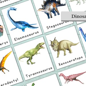 Dinosaurs Montessori Printable, Montessori Three Part Cards, Montessori ...
