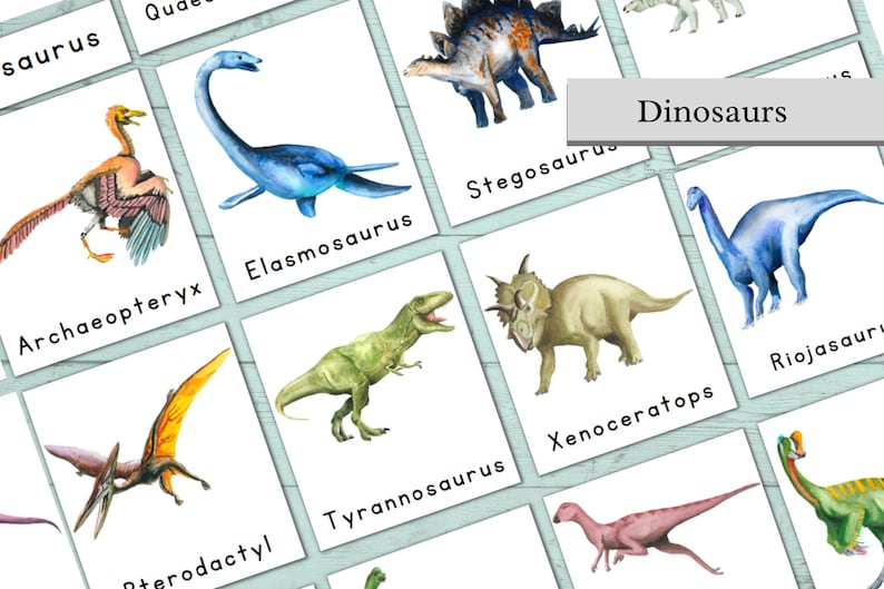 Dinosaurs Montessori Printable, Montessori Three Part Cards, Montessori ...