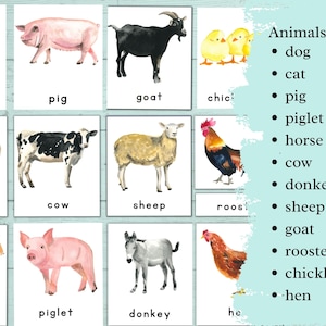 Farm Animals Montessori Printable, Montessori Three Part Cards ...