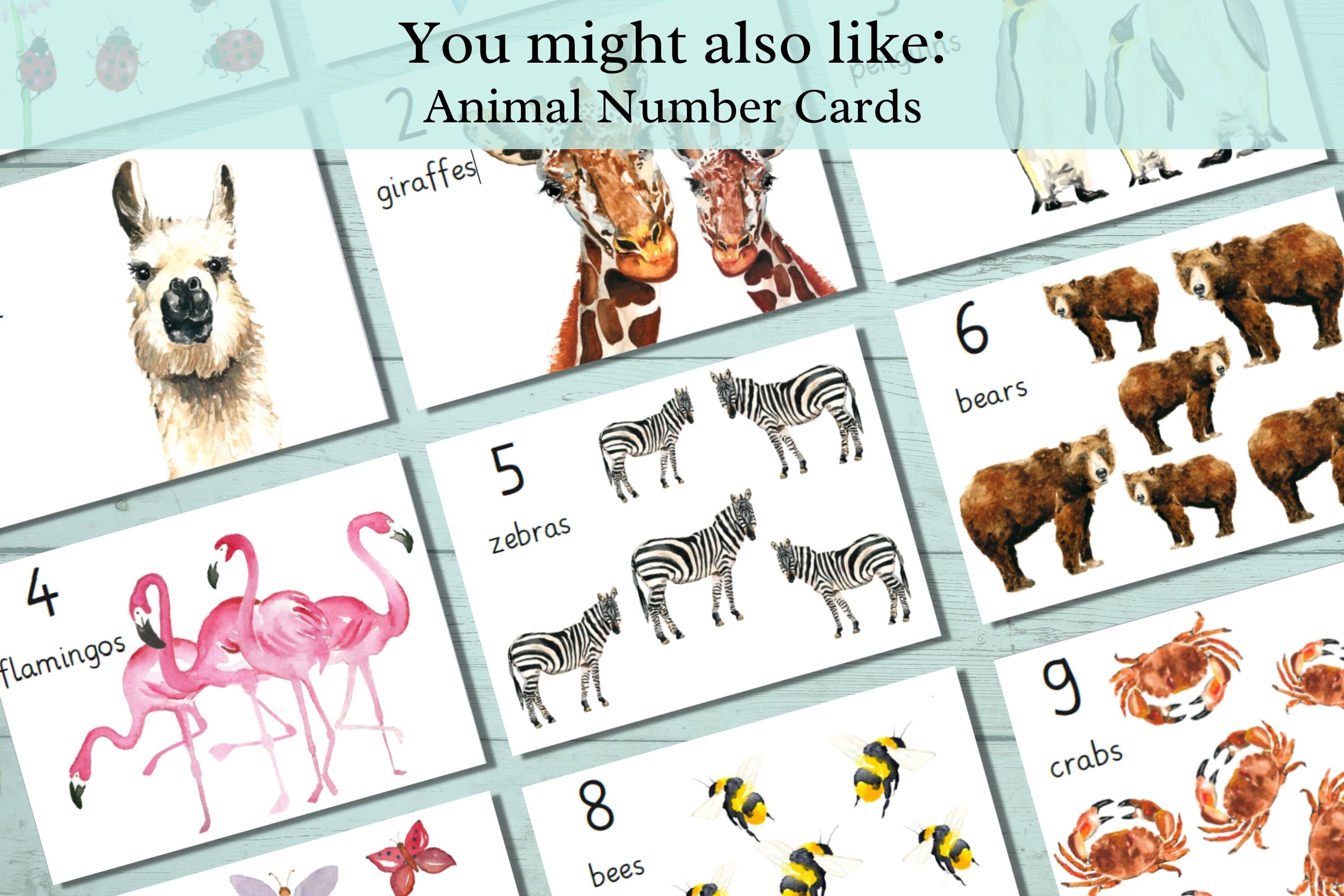 German animal alphabet cards montessori letter flashcards for - Etsy France