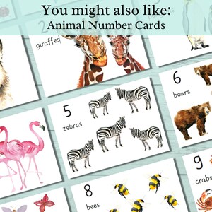 Dinosaurs Montessori Printable, Montessori Three Part Cards, Montessori ...