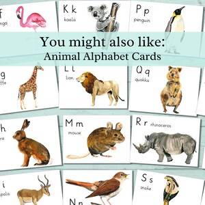 Animal Alphabet Poster, Educational Wall Art for Kindergarten ...