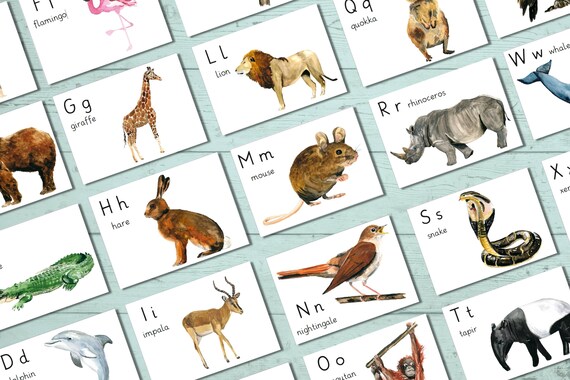 Animal Alphabet Cards Montessori Letter Flashcards for - Etsy