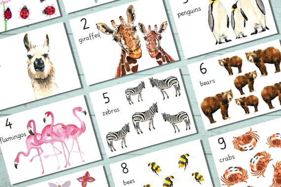 Animal Number Cards Montessori Counting Flashcards for - Etsy