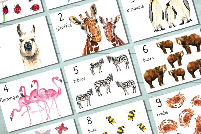 Animal Number Cards, Montessori Counting Flashcards for Kindergarten ...