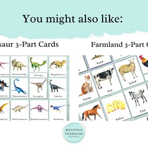 Dinosaur Count and Clip Cards #1-20, Numbers 1-20 Flash Cards, Counting ...