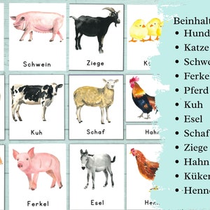 Farm Animals Montessori Printable, Montessori Three Part Cards ...