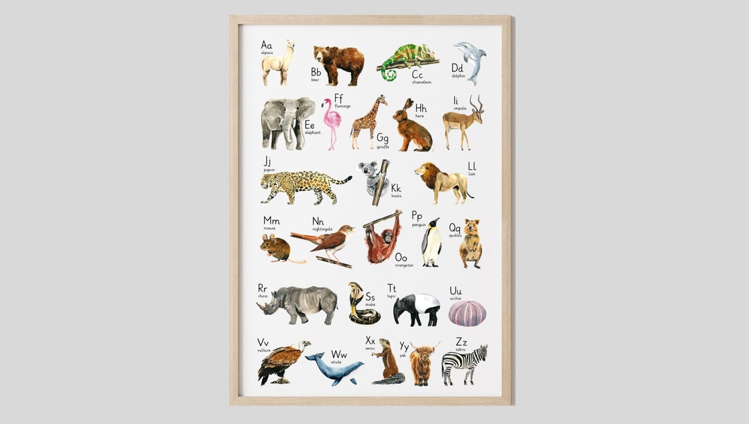 Animal Alphabet Poster, Educational Wall Art for Kindergarten ...