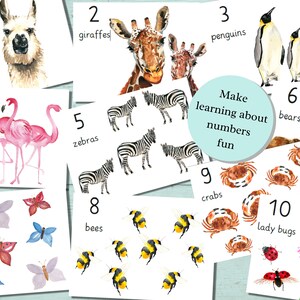 Animal Number Cards, Montessori Counting Flashcards for Kindergarten ...