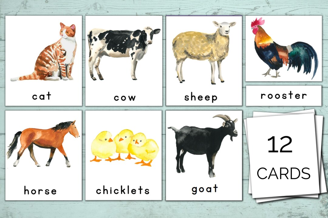 Farm Animals Montessori Printable, Montessori Three Part Cards ...