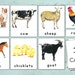 Farm Animals Montessori Printable, Montessori Three Part Cards ...