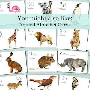 Farm Animals Montessori Printable, Montessori Three Part Cards ...