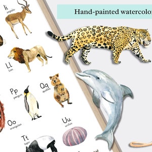 Animal Alphabet Poster, Educational Wall Art for Kindergarten ...