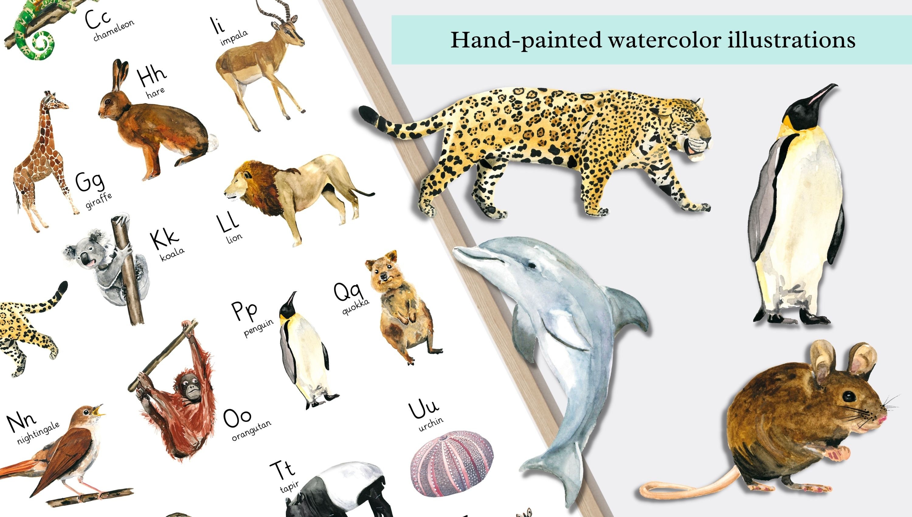 Animal Alphabet Poster, Educational Wall Art for Kindergarten ...
