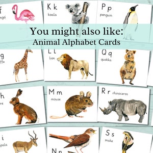 Animal Number Cards, Montessori Counting Flashcards for Kindergarten ...
