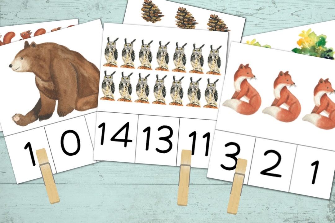 Woodland Count and Clip Cards #1-20, Numbers 1-20 Flash Cards, Counting ...