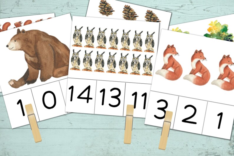 Woodland Count and Clip Cards 1-20 Numbers 1-20 Flash Cards - Etsy