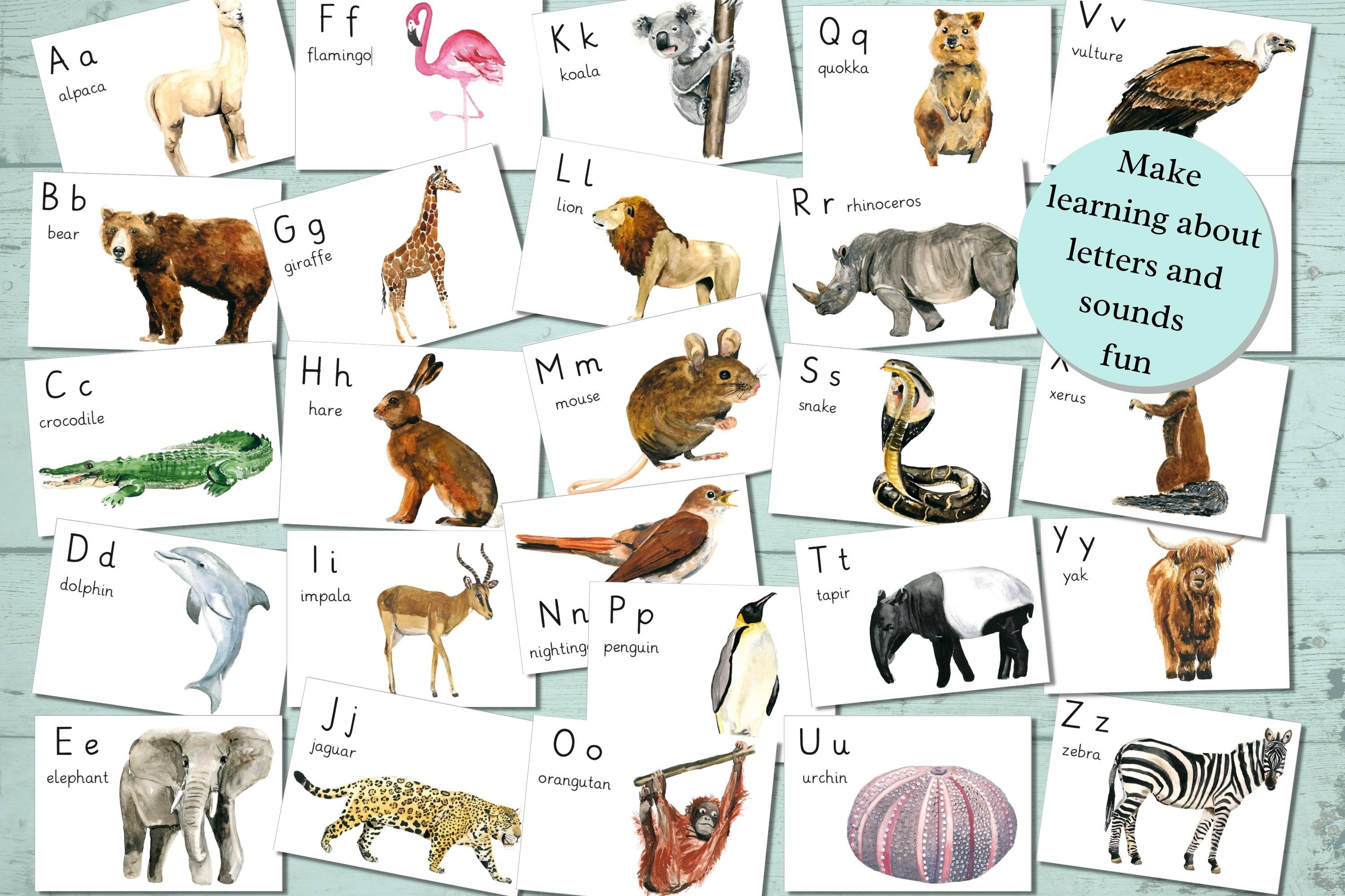 Animal Alphabet Cards, Montessori Letter Flashcards for Kindergarten ...