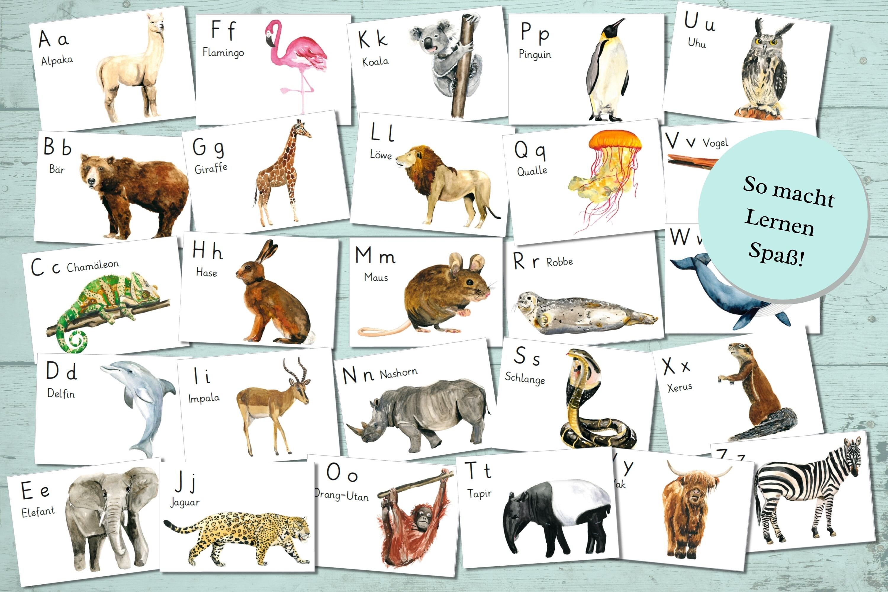 German animal alphabet cards montessori letter flashcards for | Etsy