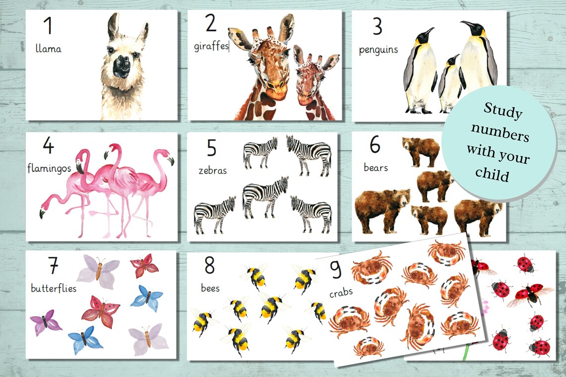 Animal Number Cards Montessori Counting Flashcards for - Etsy
