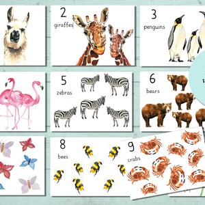 Animal Number Cards, Montessori Counting Flashcards for Kindergarten ...