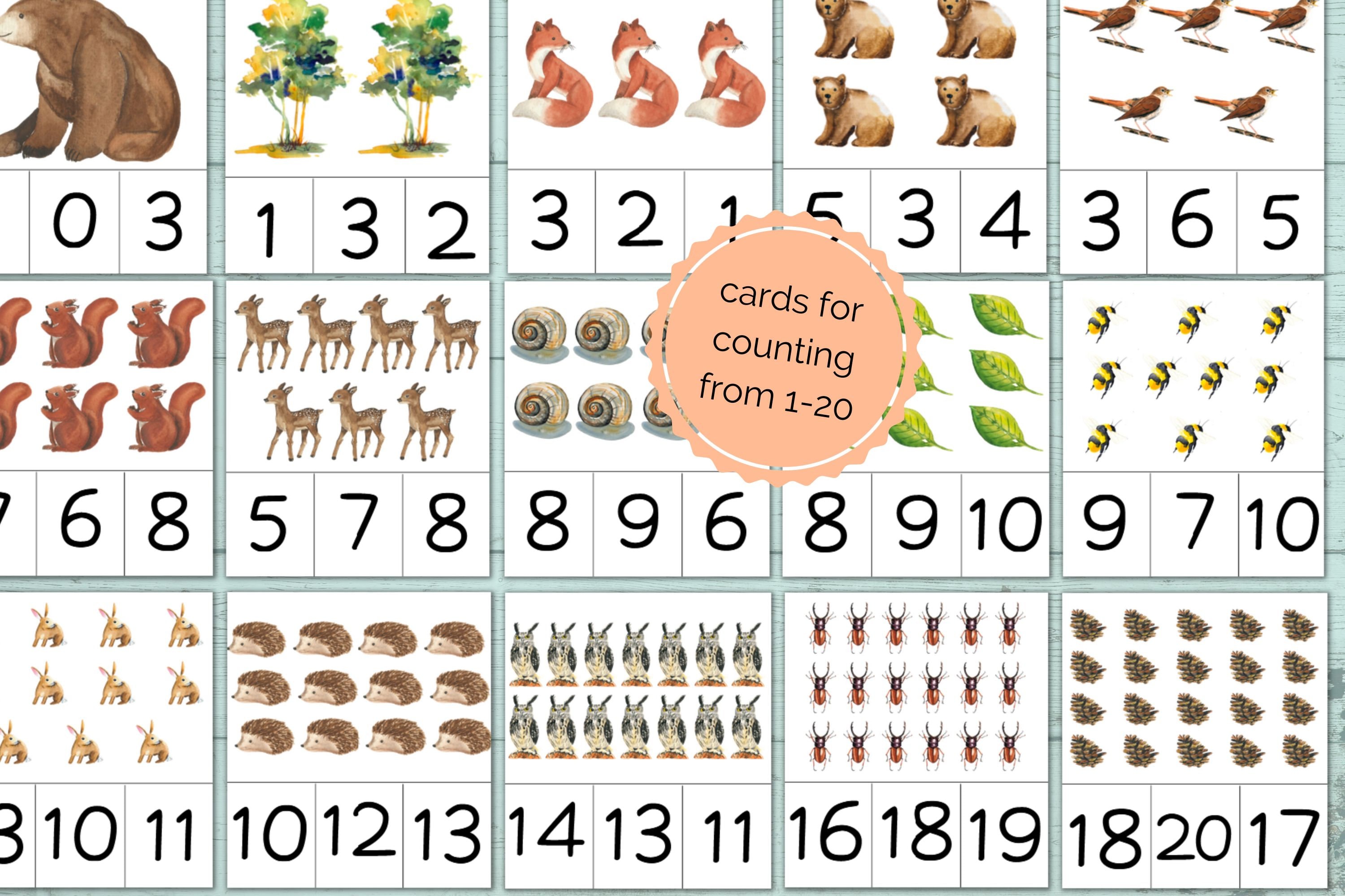 Woodland Count and Clip Cards 1-20, Numbers 1-20 Flash Cards, Counting ...