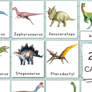 Dinosaurs Montessori Printable, Montessori Three Part Cards, Montessori ...