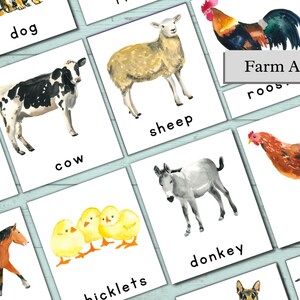 Farm Animals Montessori Printable, Montessori Three Part Cards ...