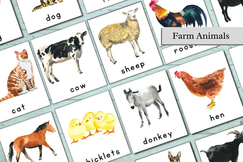 Farm Animals Montessori Printable, Montessori Three Part Cards ...