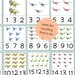 Dinosaur Count and Clip Cards 1-20 Numbers 1-20 Flash Cards - Etsy