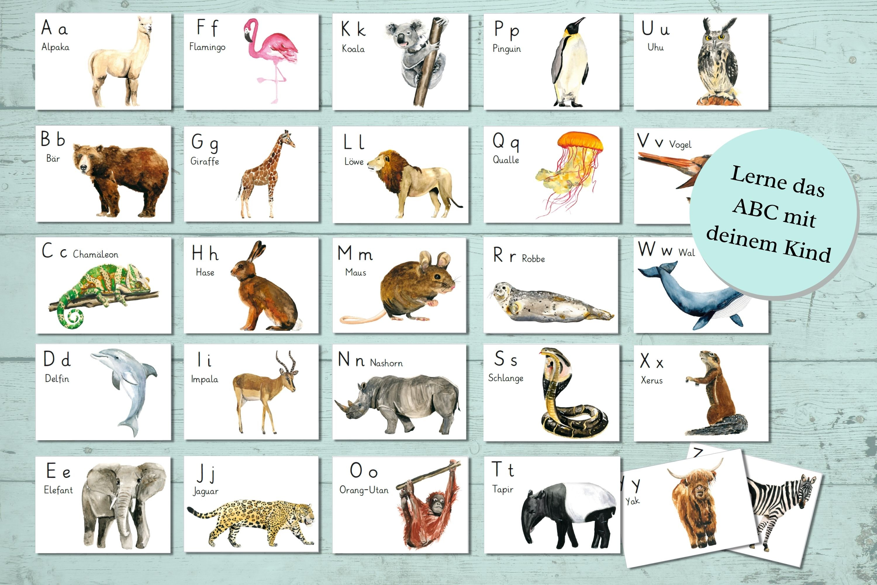 German animal alphabet cards montessori letter flashcards for - Etsy France