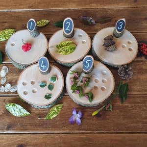 5 Pack Set Counting Log Slices Small or Large Size Wooden Early Years ...