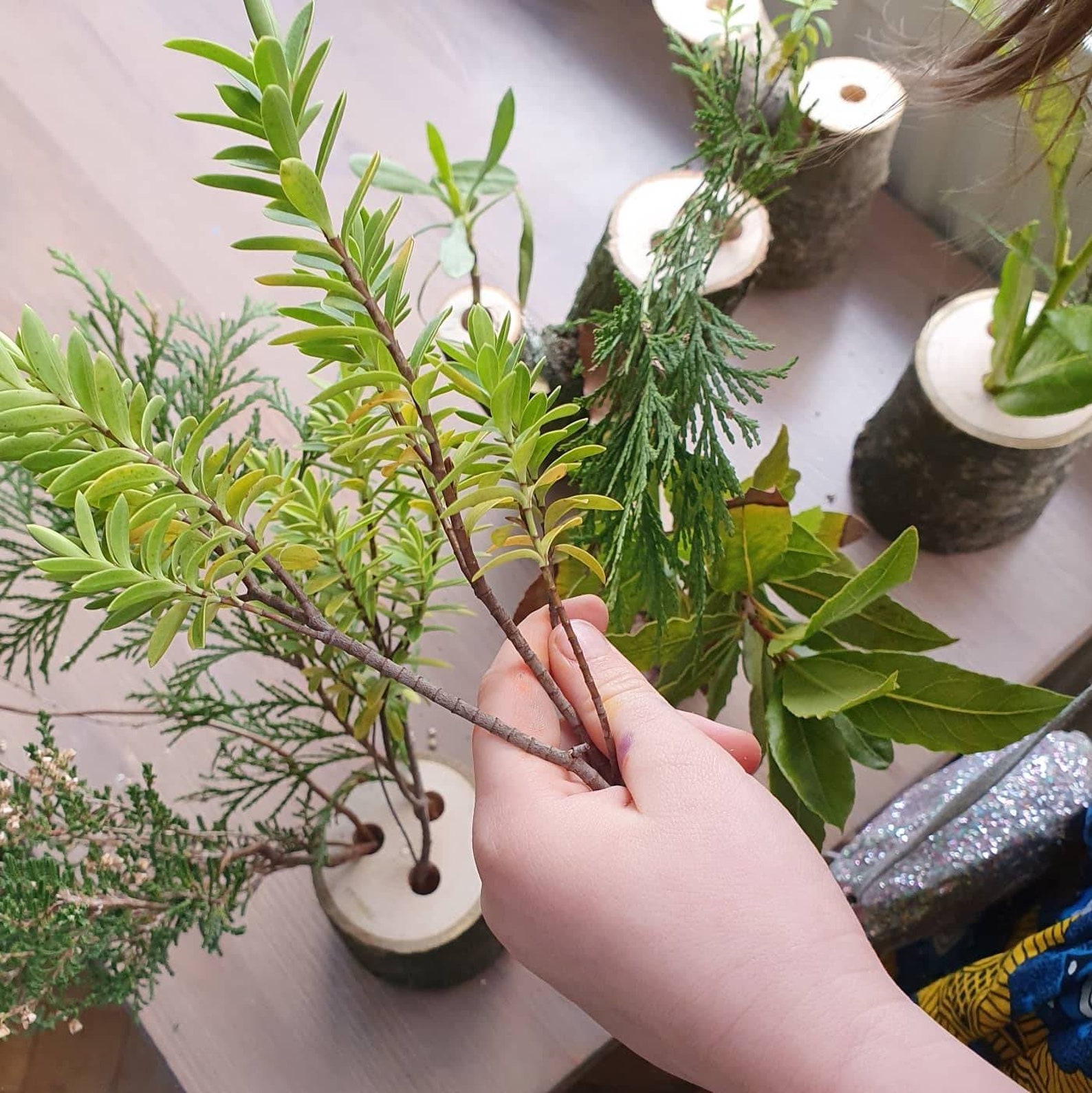 Small World Trees Forest School Wooden Log Slice Nature Natural - Etsy UK