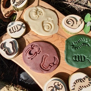 Insect Minibeast Bugs Log Slices Patterns Play Dough Stampers Stamps ...