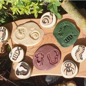 Insect Minibeast Bugs Log Slices Patterns Play Dough Stampers Stamps ...