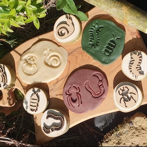 Insect Minibeast Bugs Log Slices Patterns Play Dough Stampers Stamps ...