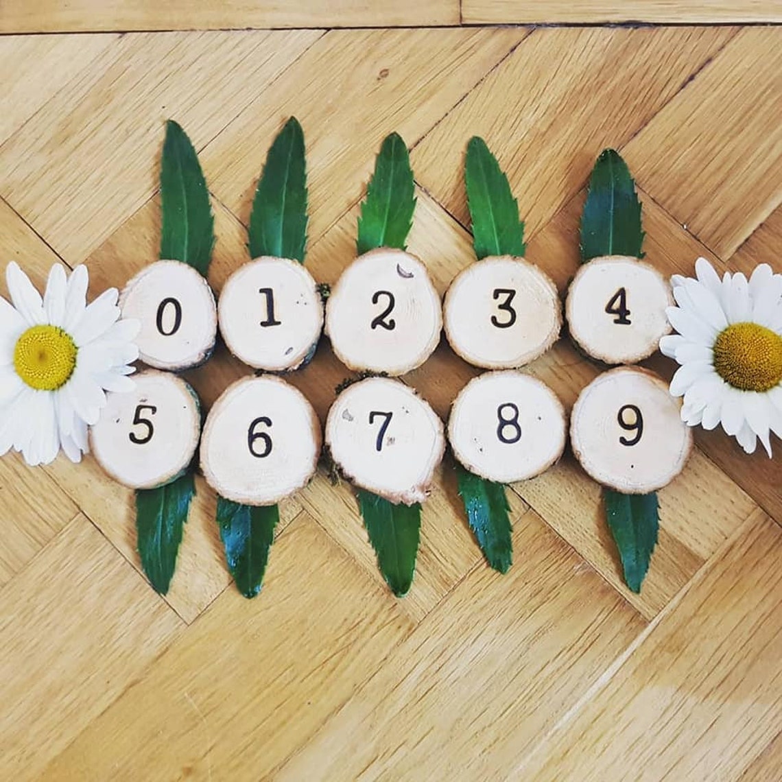 Small Woodburned Number Log Slices 0-10 Children Learning | Etsy