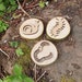 Insect Minibeast Bugs Log Slices Patterns Play Dough Stampers Stamps ...