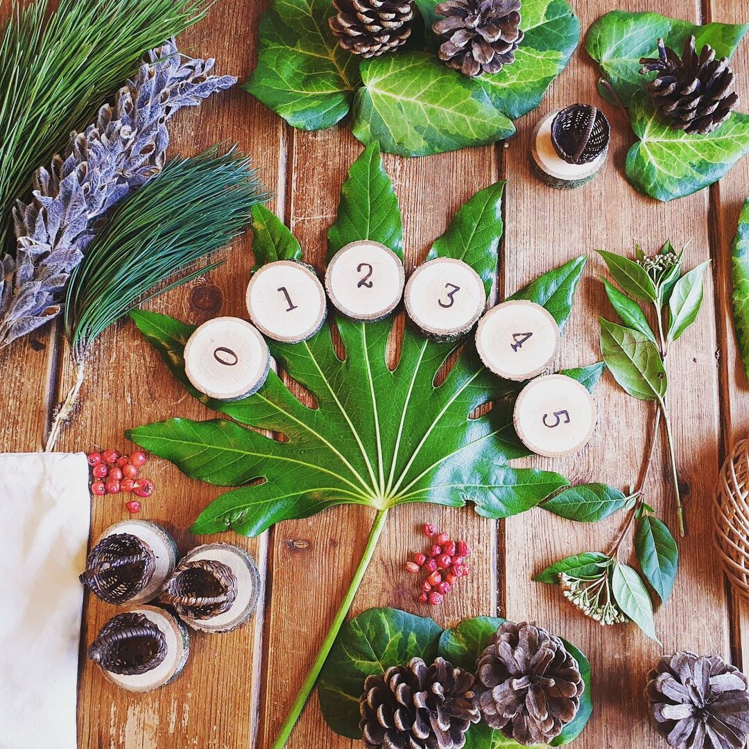 Small Woodburned Number Log Slices 0-10 Children Learning Education ...