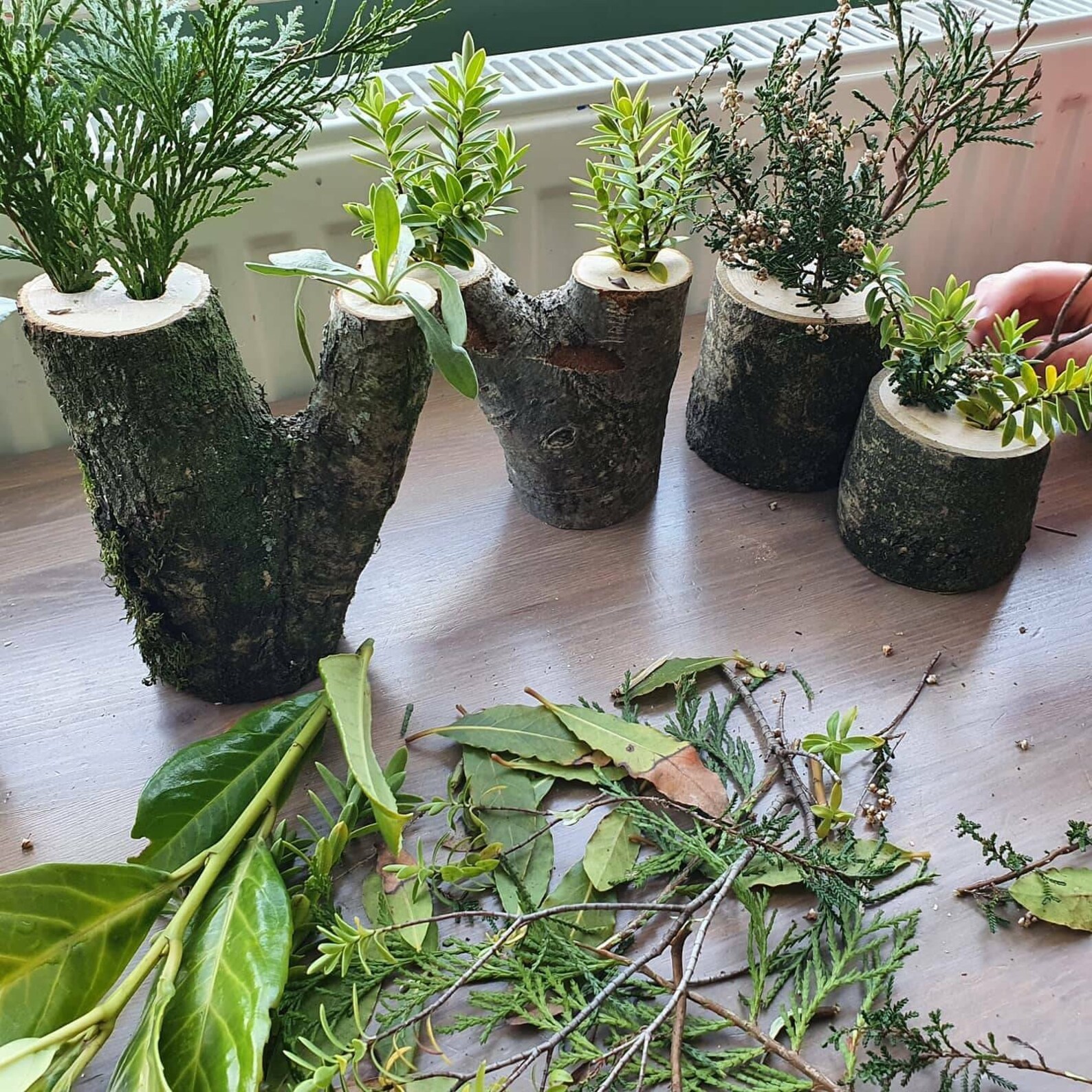 Small World Trees Forest School Wooden Log Slice Nature Natural - Etsy UK