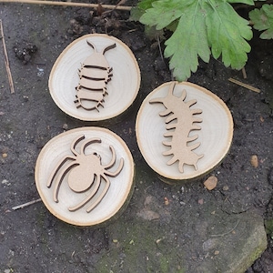 Insect Minibeast Bugs Log Slices Patterns Play Dough Stampers Stamps ...