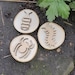 Insect Minibeast Bugs Log Slices Patterns Play Dough Stampers Stamps ...