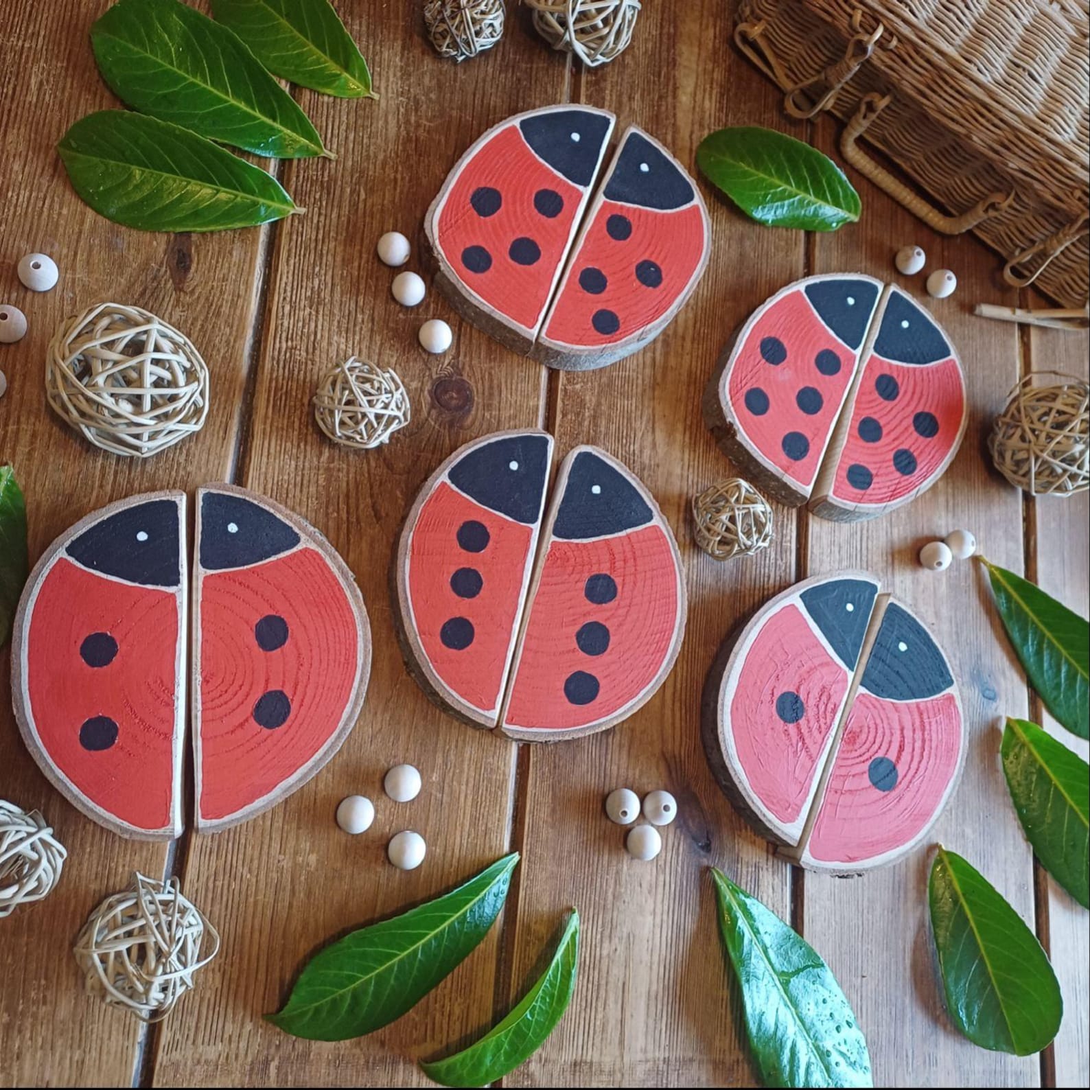 Ladybird Matching & Counting Log Slices - Etsy UK