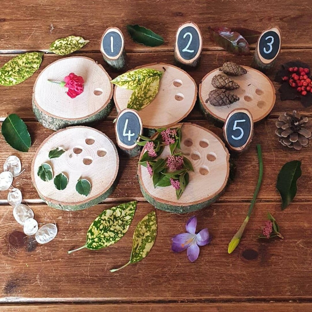 5 Pack Set Counting Log Slices Small or Large Size Wooden Early Years ...