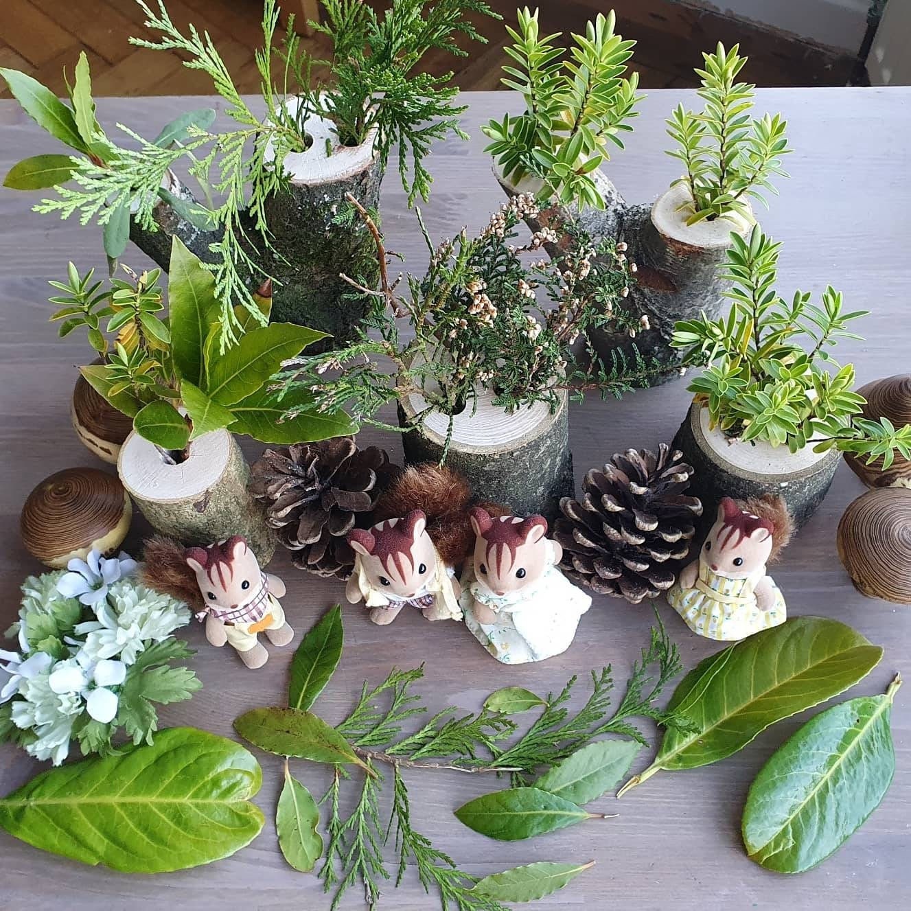 Small World Trees Forest School Wooden Log Slice Nature Natural - Etsy UK