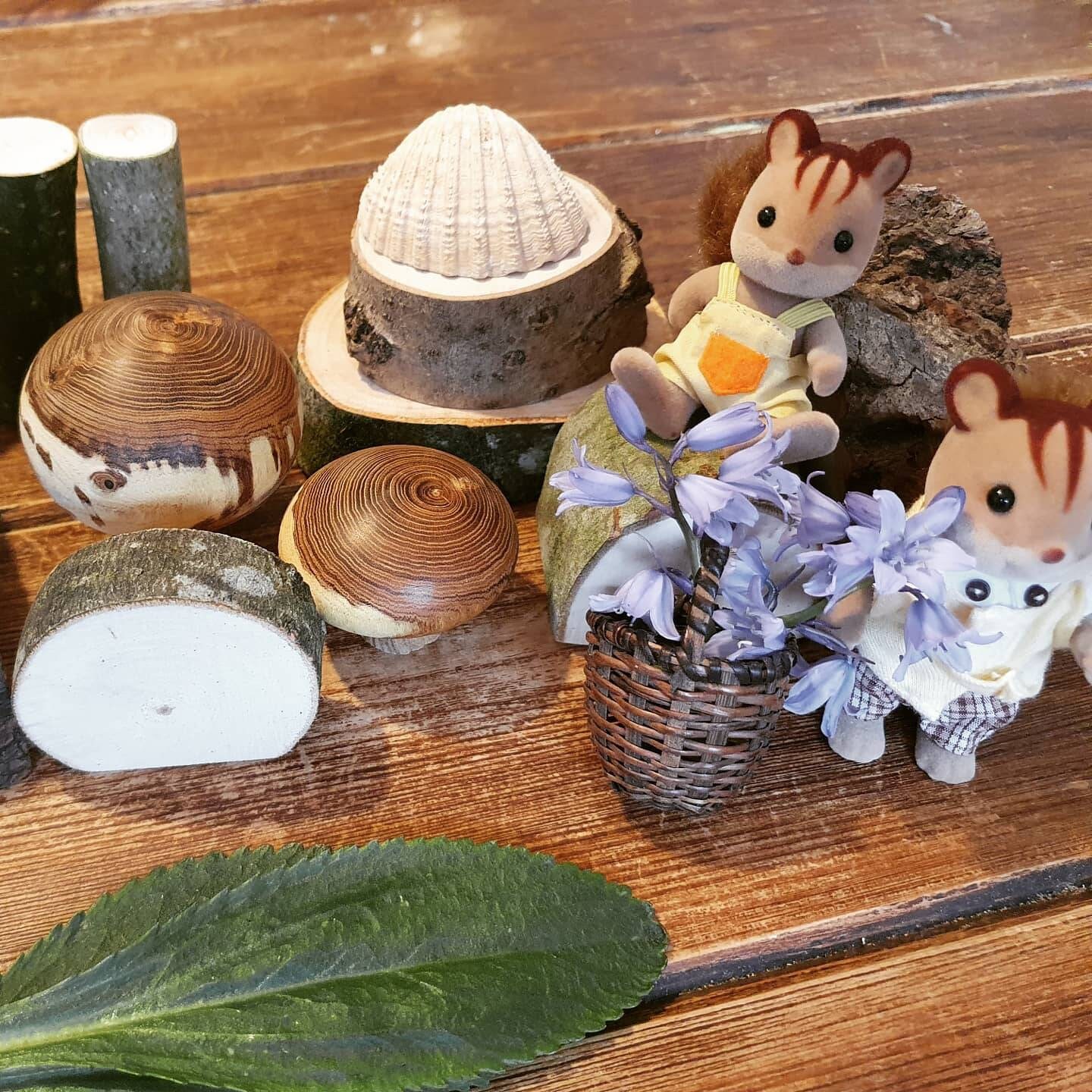 Little Box Log Pieces Loose Parts Offcuts Slices Building Kit - Etsy Canada